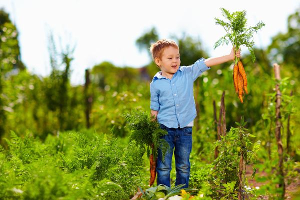 Growing your own veg is not hard: here's how to get your kids...