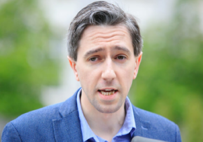 'Simply revolting': Simon Harris slams people taking part in...