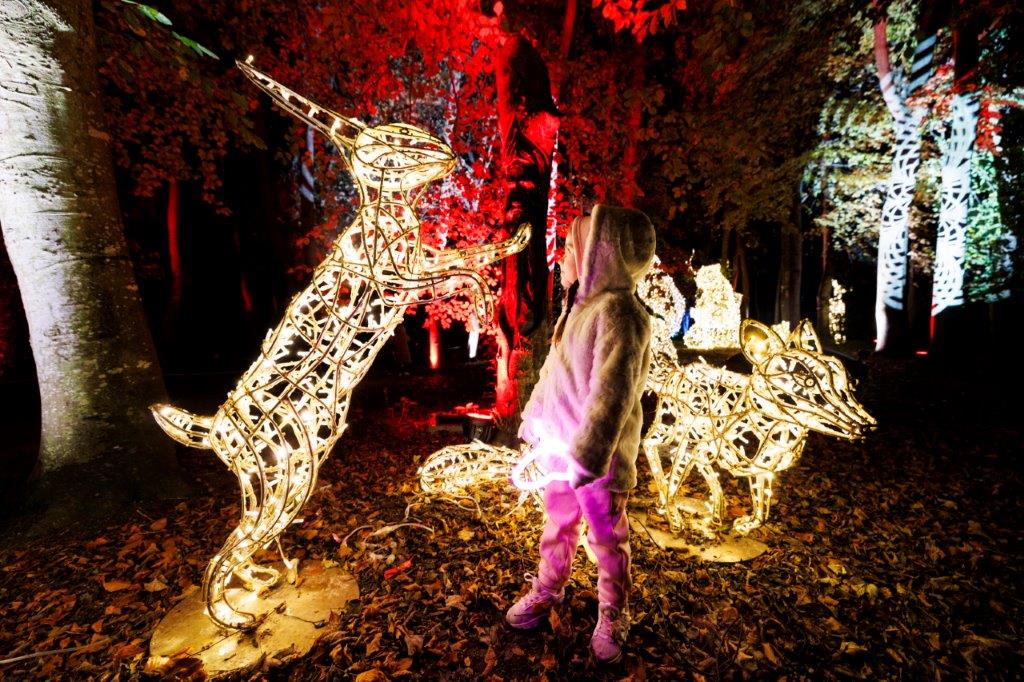Wonderlights welcomes the brightest stars to Malahide Castle...