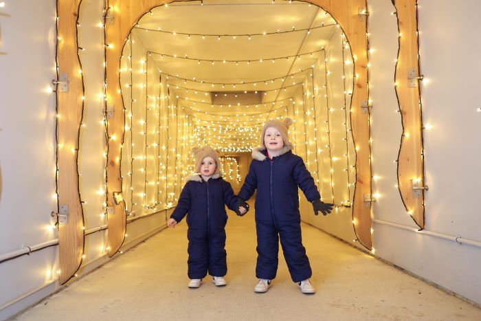 Discover the forest's magic at night: "Treetop Night...