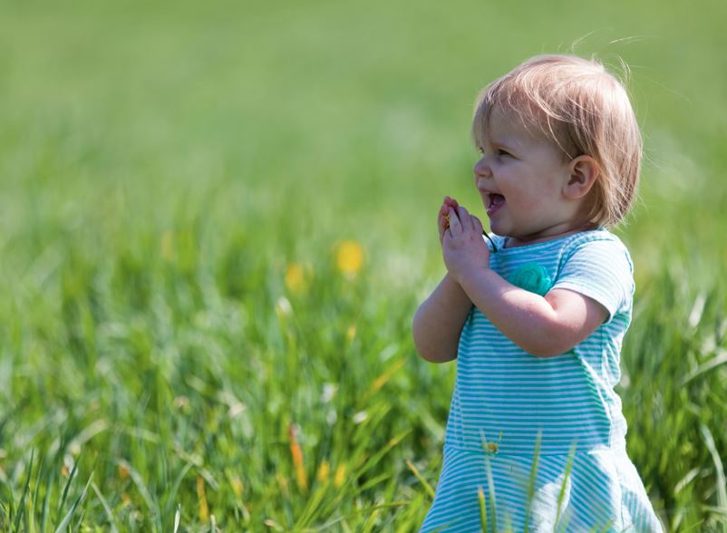 Mastering the potty – your simple guide to successful potty...