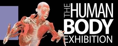 The Human Body Exhibition