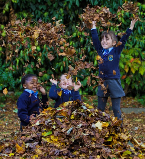 Tree Day taking place 11th October