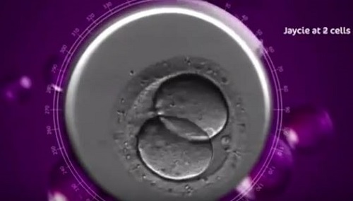 Timelapse IVF video shows child grow from first cells to baby