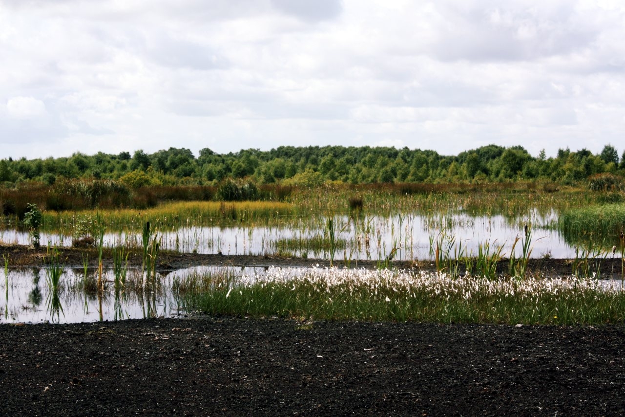 Lullymore Heritage & Discovery Park | MummyPages.ie