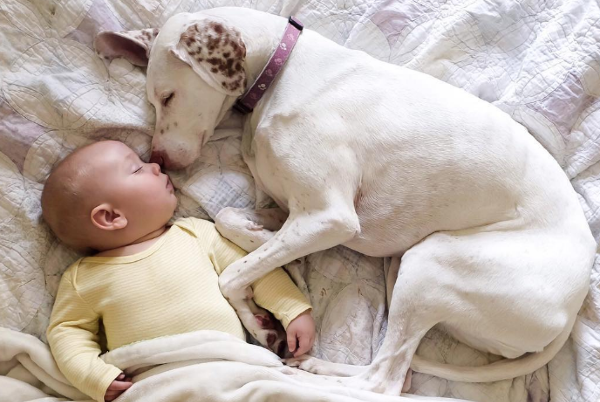 This mum shares ADORABLE pictures of her baby napping with the...