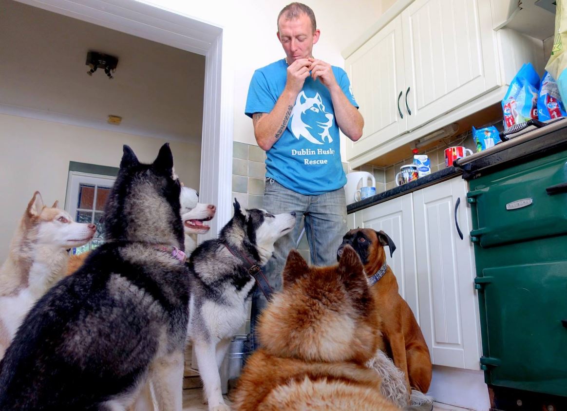47 dogs, 100 meals a day... Kildare-based Husky Rescue Centre in...
