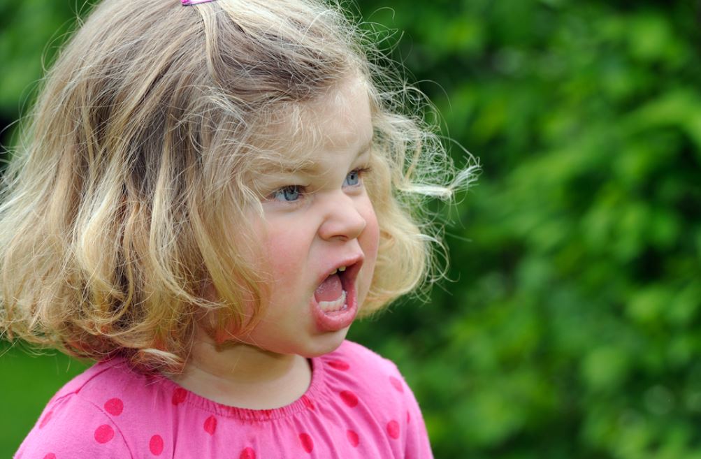 Tantrums and toddlers: WHAT is going on inside their head at...