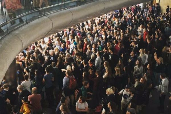 All aboard the Hogwarts Express! Massive crowd celebrates Harry...